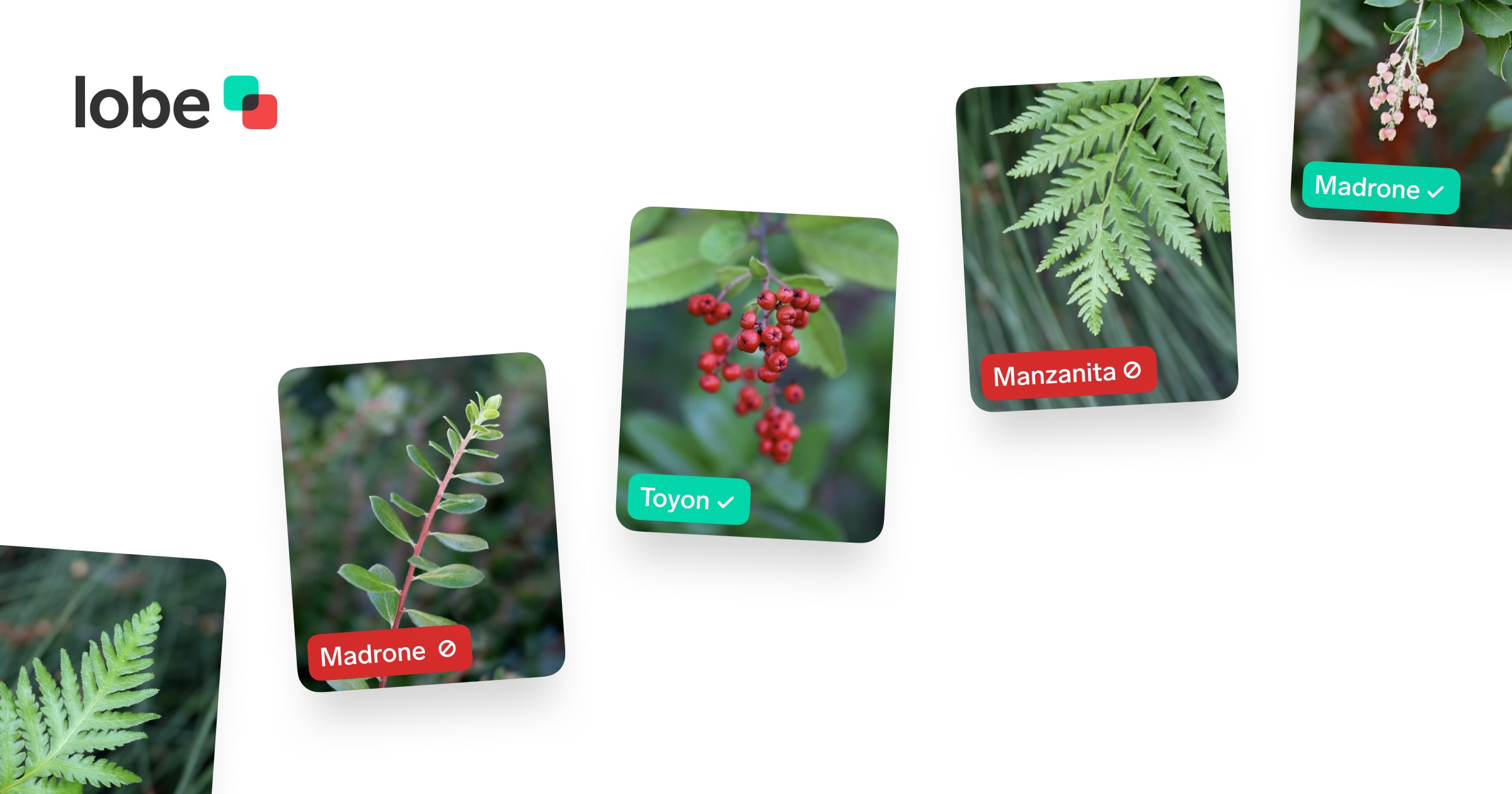 Lobe - TalentGenius AI Toolbox